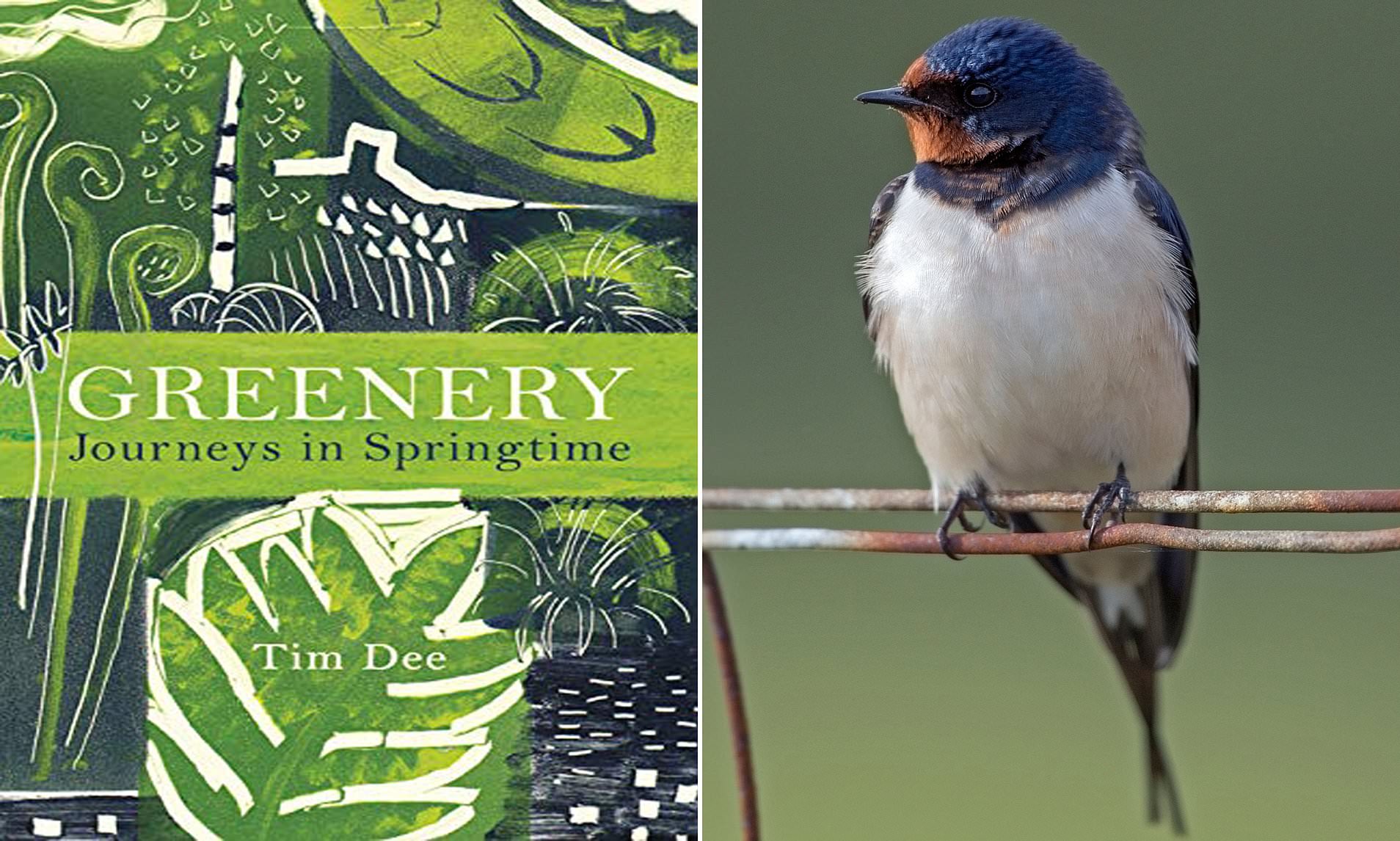 Book Review – ‘Greenery: Journeys In Springtime’ | Arts, reviews ...